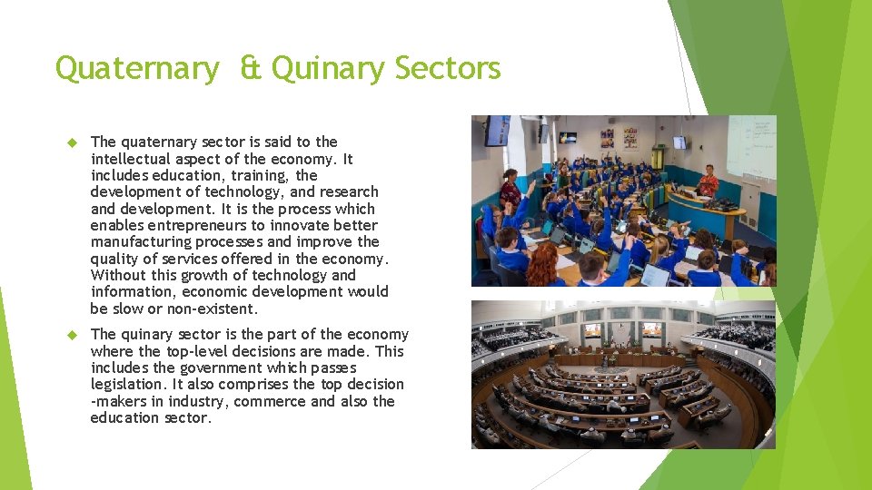 SECTORS OF THE ECONOMY BREZEANU BOGDAN The three