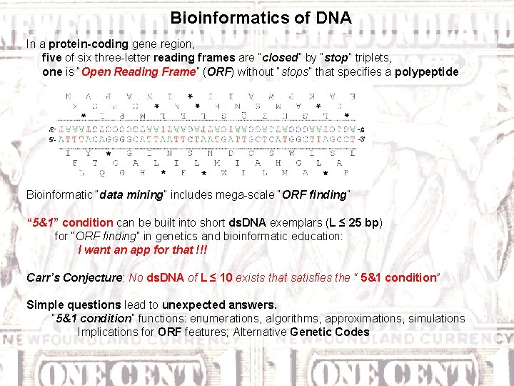 The Big ORF Theory The Intensive Enumeration The