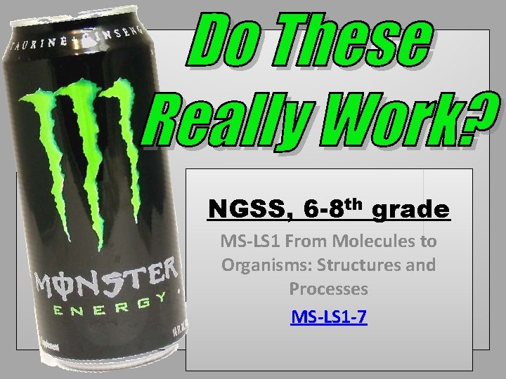 Teacher Notes My 10 th grade Biology students
