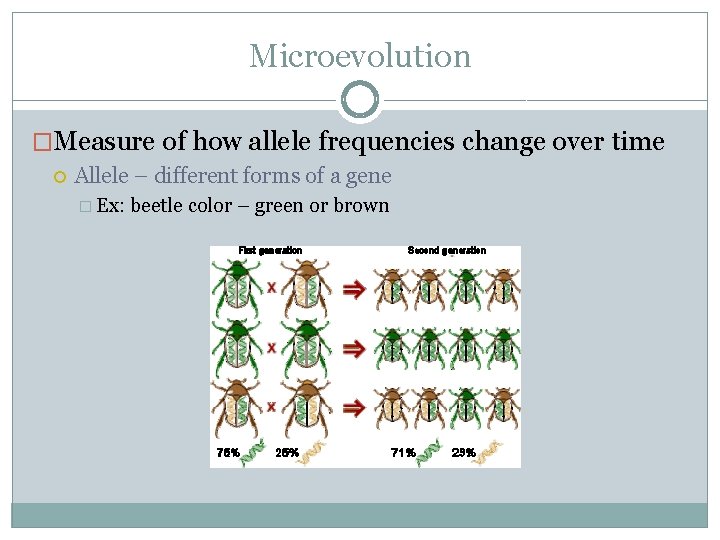 Chapter 23 Population Genetics HARDYWEINBERG THEOREM Microevolution Measure