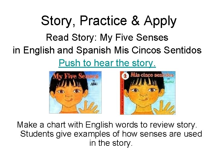 Comprehension and Vocabulary Lesson Plan and Presentation Pam