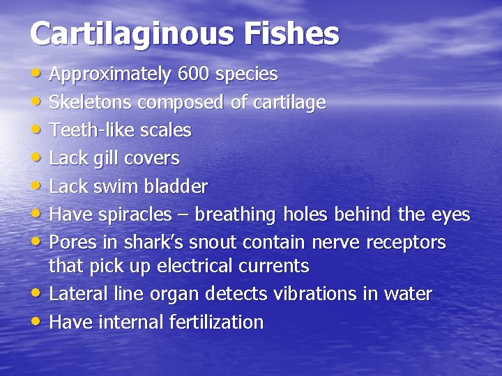 Chapter 10 Vertebrate Fishes Overview Fish has many
