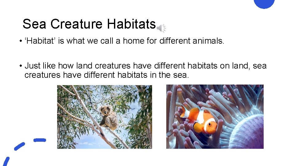 Ocean Habitats Different parts of the ocean for