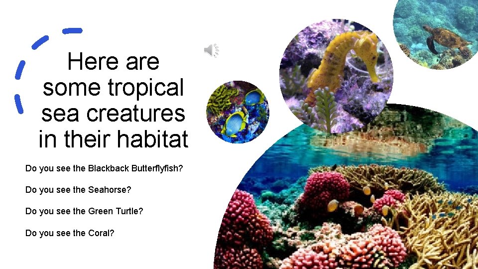 Ocean Habitats Different parts of the ocean for