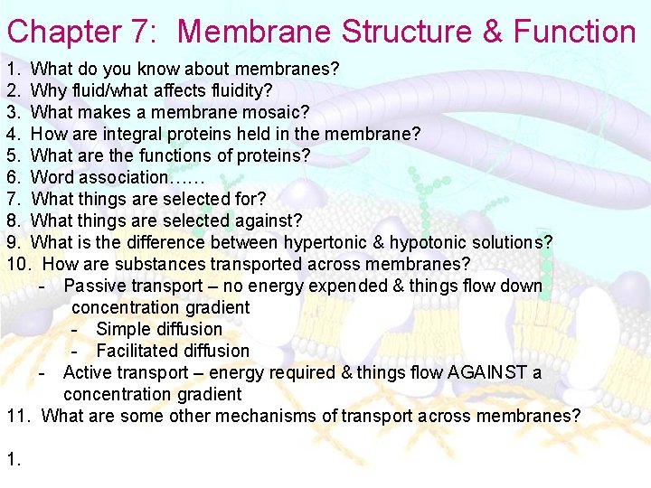 Chapter 7 Membrane Structure Function 1 What do