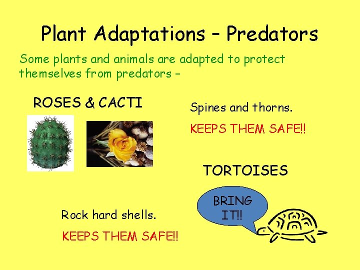 Adaptations 13 December 2021 Starter For each of
