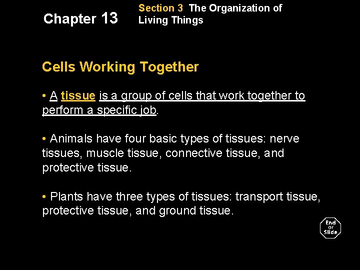 An Introduction to Cells By Mr Foley Chapter
