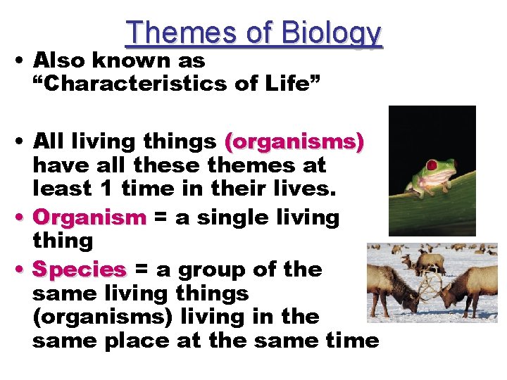 Themes of Biology Characteristics of Life and Intro