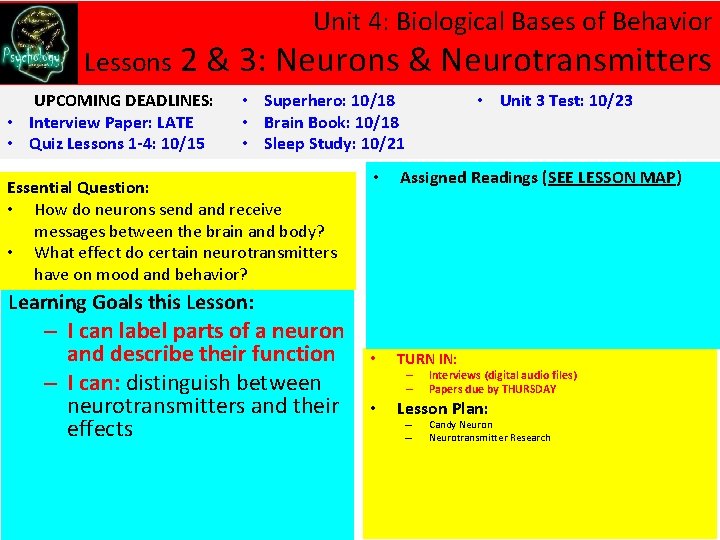 Unit 3 Neurobiology Biological Bases of Behavior Lesson