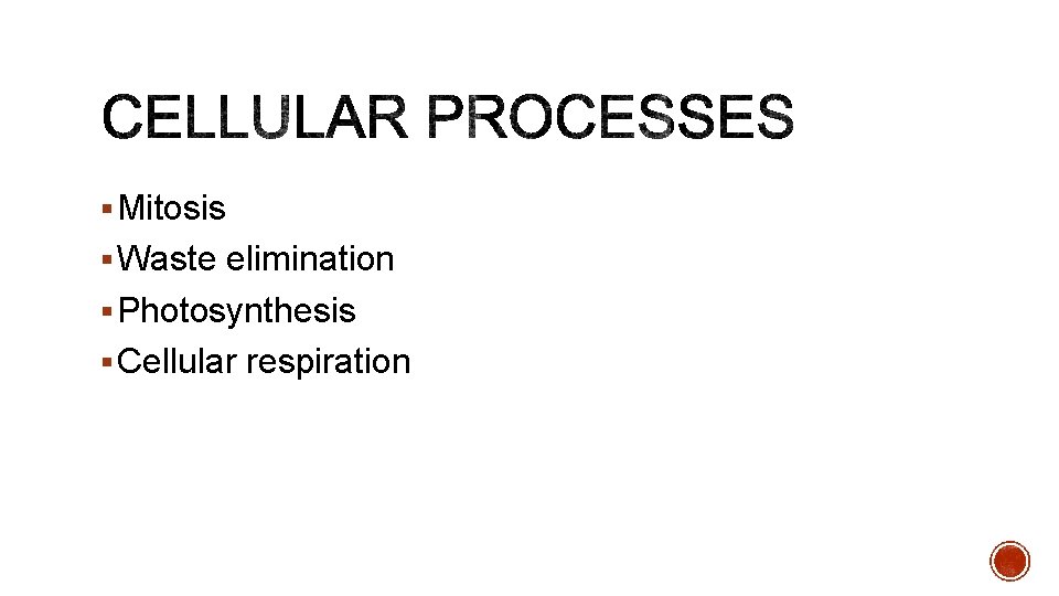 Plant Animal Bacteria Protist Cell membrane Nucleus Mitochondria