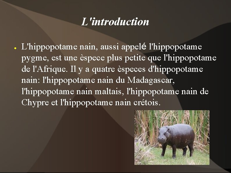 Lhippopotame nain Prsente par Ioana P Table des