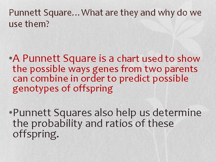 PROBABILITY OF INHERITANCE LESSON 2 Mrs Anna Ward
