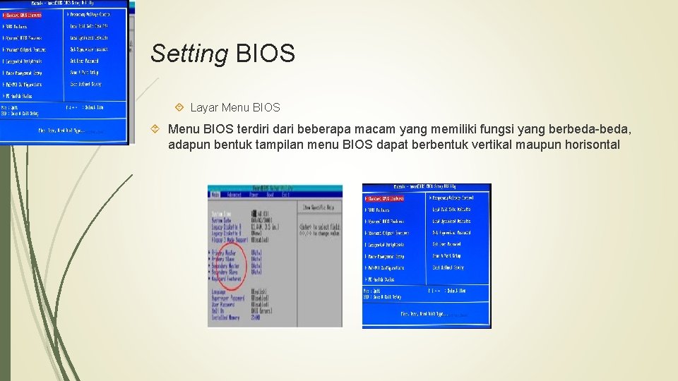 Pengenalan Jenis Beef Code Jenis Beef Code Beep