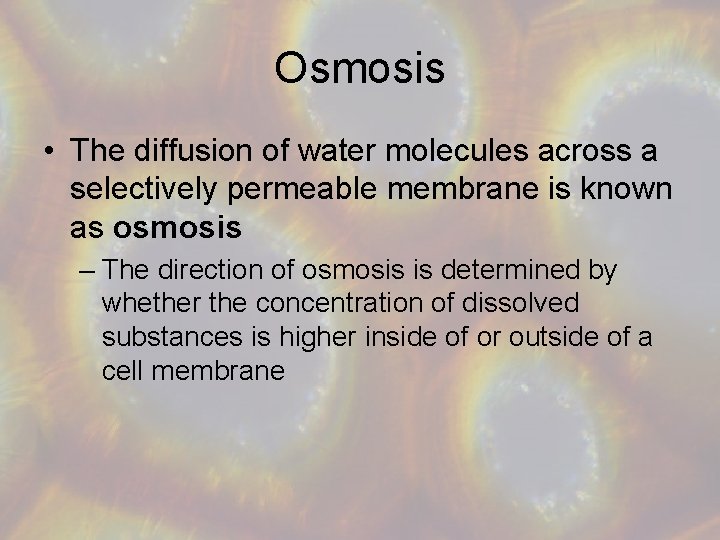 The Cell Membrane The Master of Homeostasis Terms