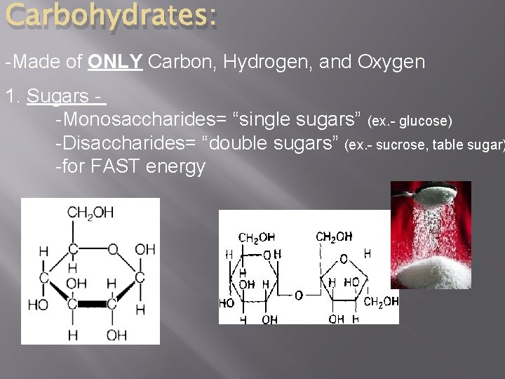 ORGANIC CHEMISTRY CHEMISTRY OF LIFE General Biology Glencoe