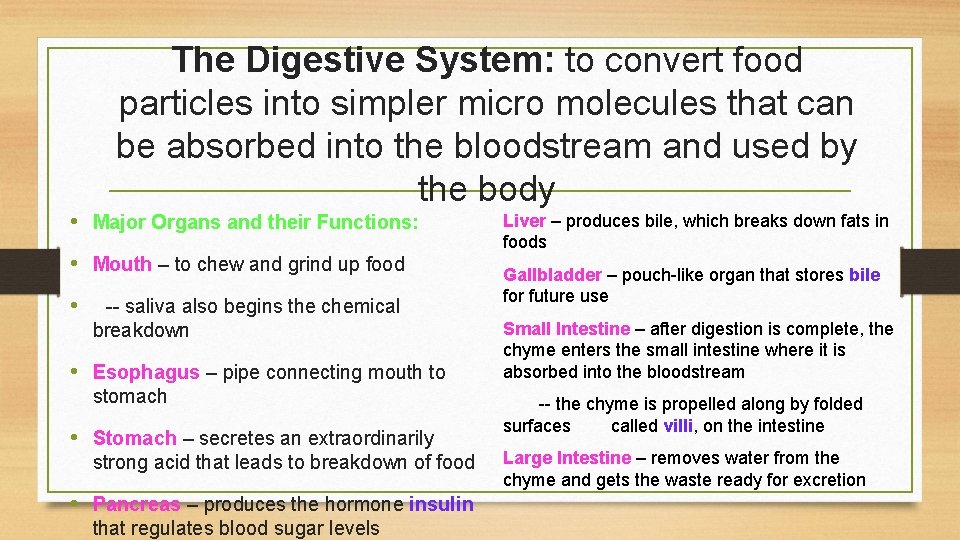 Body Systems The Digestive System to convert food