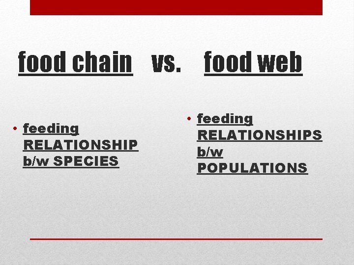 WHATS THE DIFFERENCE BETWEEN FOOD CHAINS AND FOOD