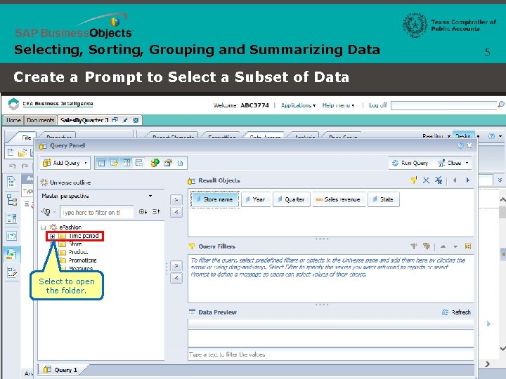 Selecting Sorting Grouping and Summarizing Data Web Intelligence