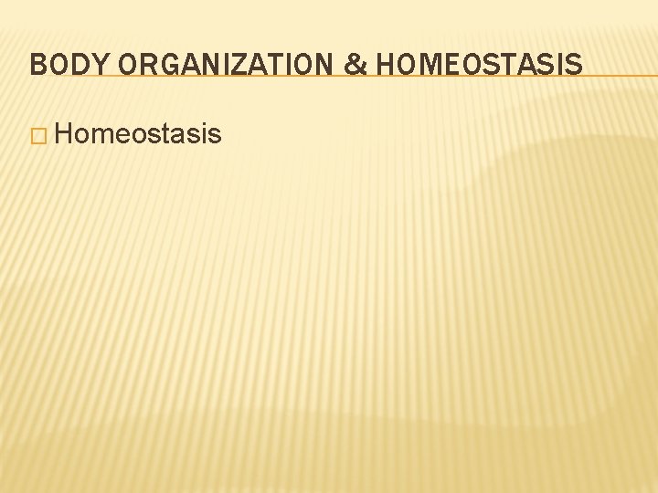 Chapter 14 v Body Organization Homeostasis v The