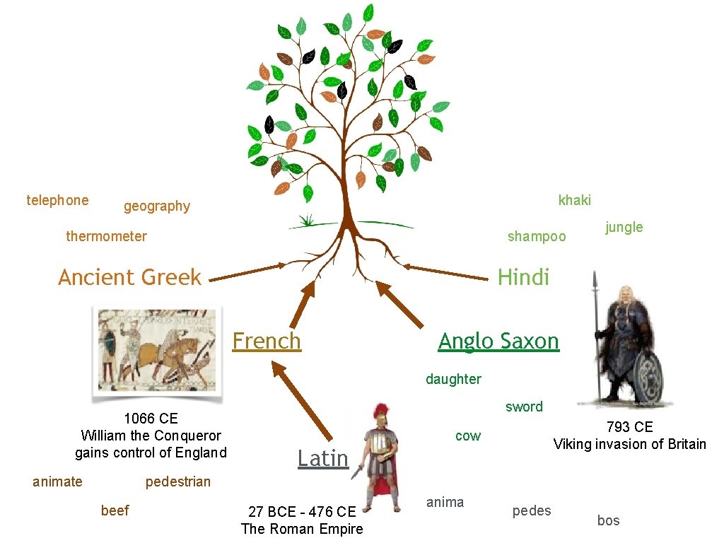 The Roots of English I before E except