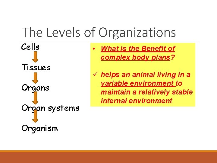 Basic Principles of Animal Form and Function How