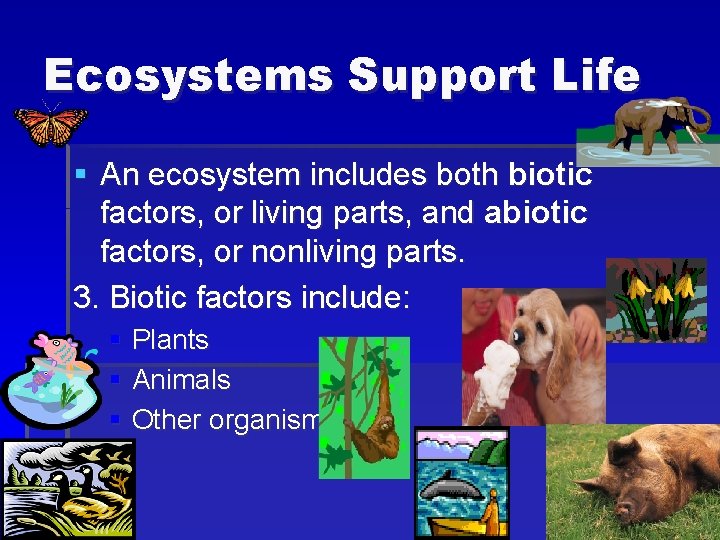 Warm Up Define the following terms Abiotic Community