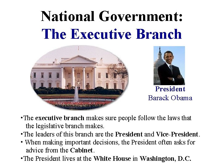 The Three Branches of the United States Government