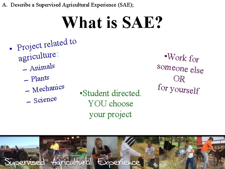 Supervised Agricultural Experience A B C D E