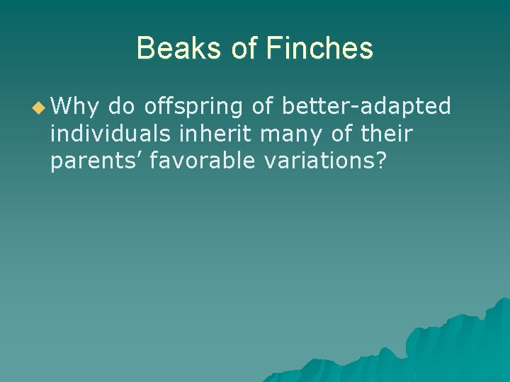 Living Environment Part D Required Labs Review Beaks