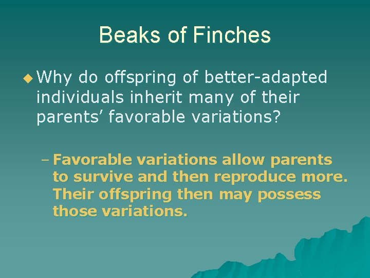 Living Environment Part D Required Labs Review Beaks