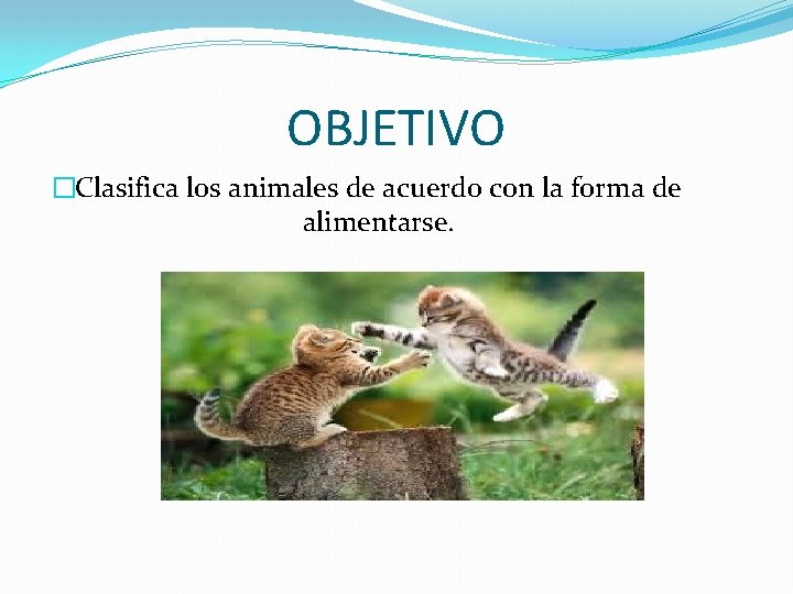 Alimentarse una necesidad bsica de los seres vivos