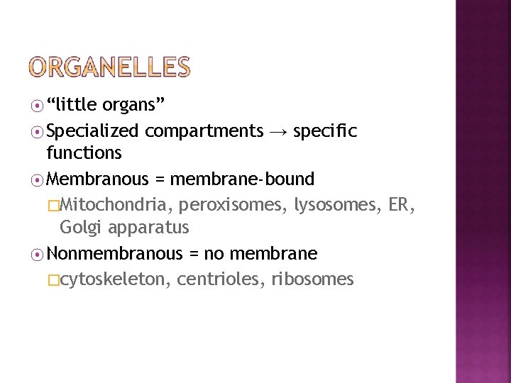 Basic unit of structure function 200 different cell