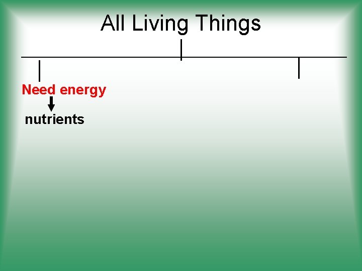 Objective 8 L 5 1 Summarize how food