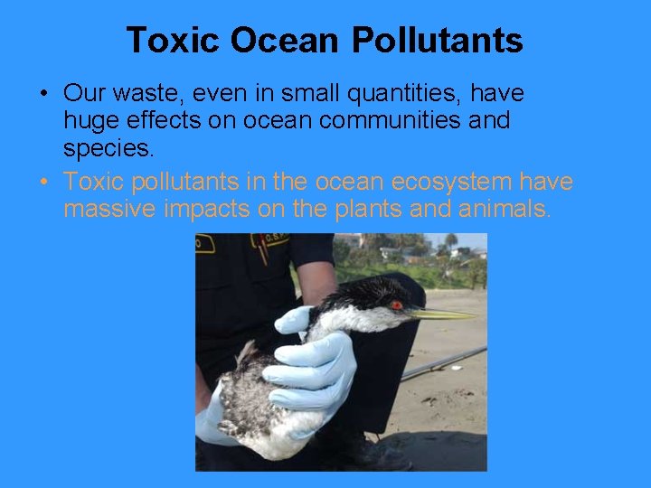 Ocean Pollution Problem Pollution of the worlds oceans