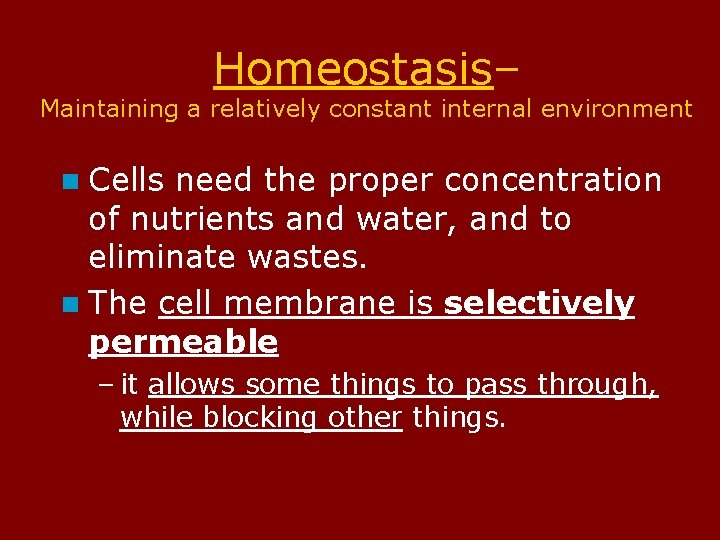 Agenda 1027 Cell Membrane and Homeostasis 2 1