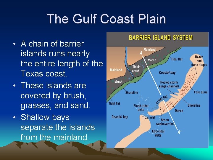 The Gulf Coastal Plains Region 5 Subregions The