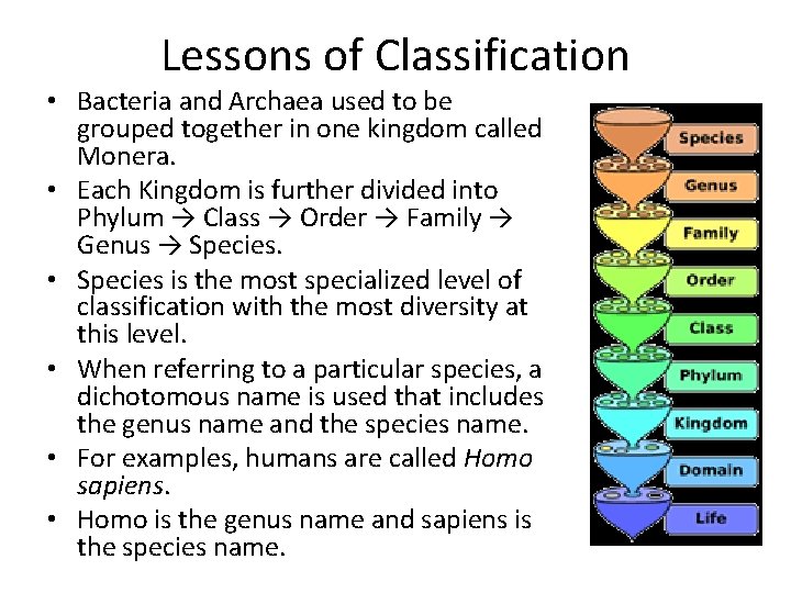 The Six Kingdoms Biodiversity Biodiversity is the variation
