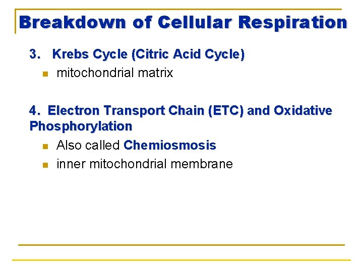 Cellular Respiration Harvesting Chemical Energy n Aerobic metabolism