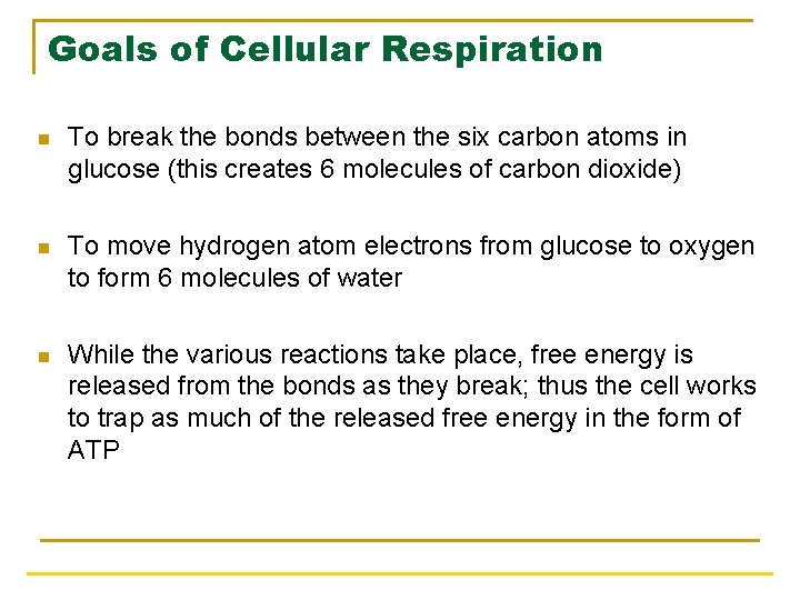 Cellular Respiration Harvesting Chemical Energy n Aerobic metabolism