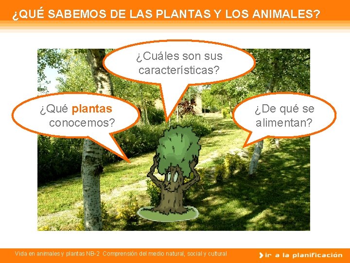 Vida en animales y plantas NB 2 Interaccin