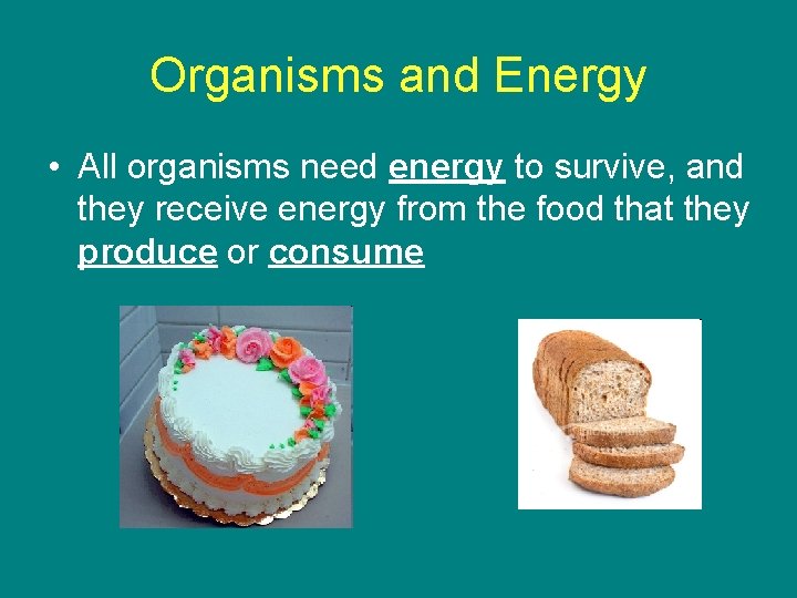 Catalyst 1 Based on the food chain shown