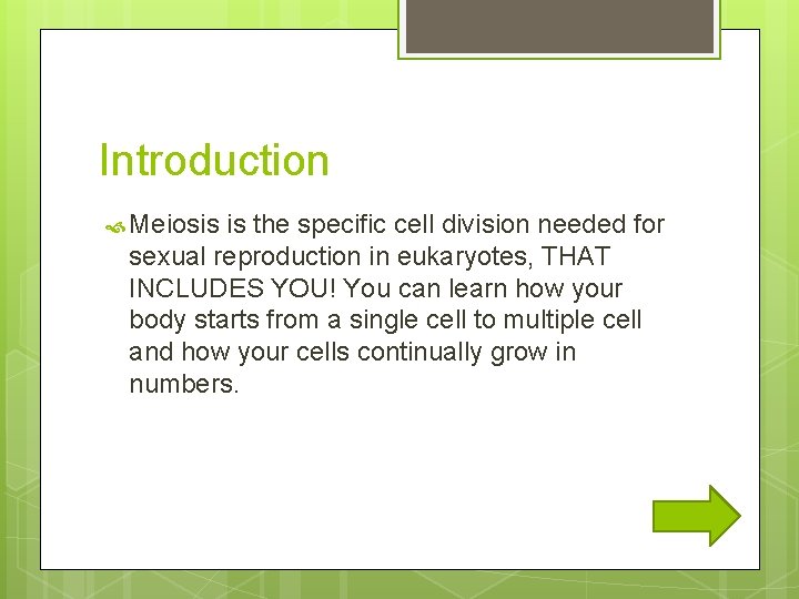 Cellular Reproduction through Meiosis By Tyler Wynn Introduction