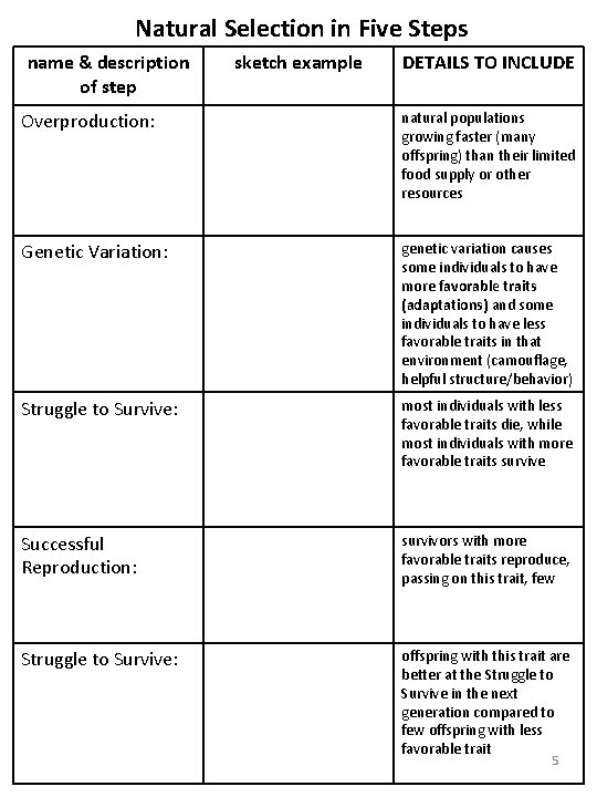 Natural Selection Study Guide Look at the beak