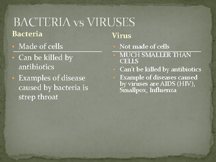 THE 6 MODERN KINGDOMS EUBACTERIA MEANS TRUE BACTERIA