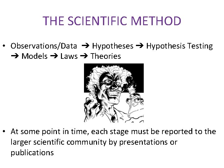 Research Methodology in ChemistryBiology CHEM 339BIOL 339 Dr