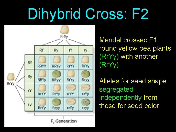 Other Patterns of Inheritance Learning Objectives Explain the