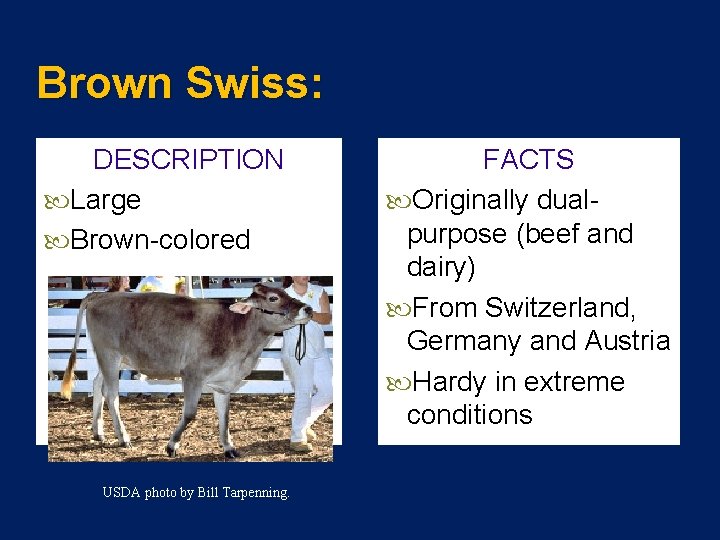 LA 181 Dairy Breeds Ag Ed Net com