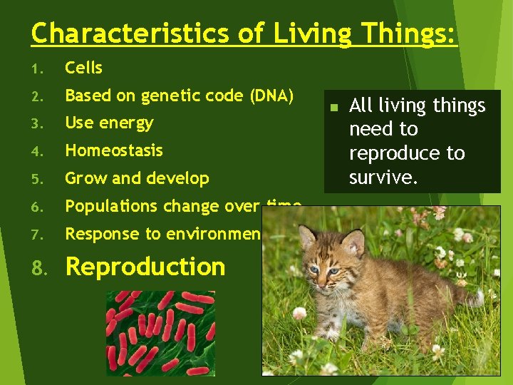 Characteristics of Living Things Biology Objectives Be able