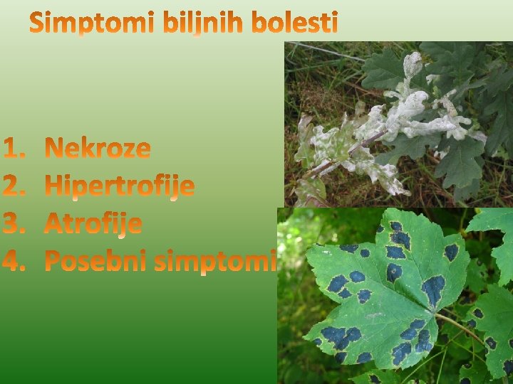 Tri faktora su bitna za nastanak i razvoj