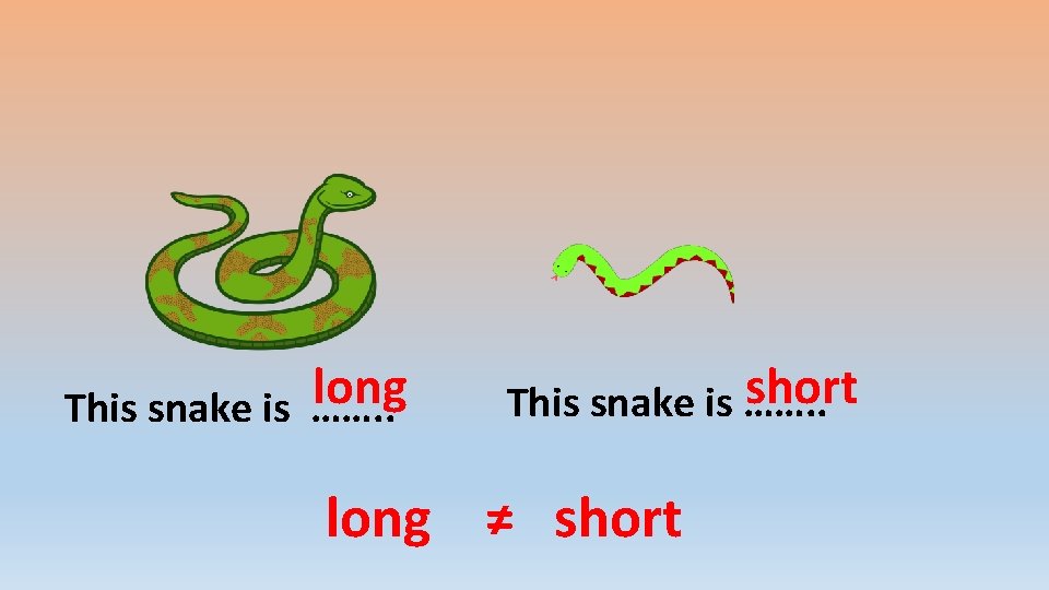 Describing people objects and animals Lets find out